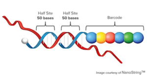 NanoString nCounter Analysis | Axela Bio