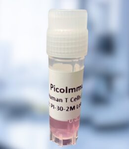 CD3+ CD56+ Natural Killer T Cells | Axela Bio