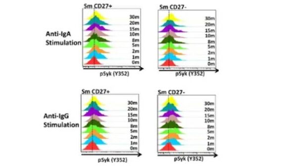 Flow Cytometry Services | Axela Bio